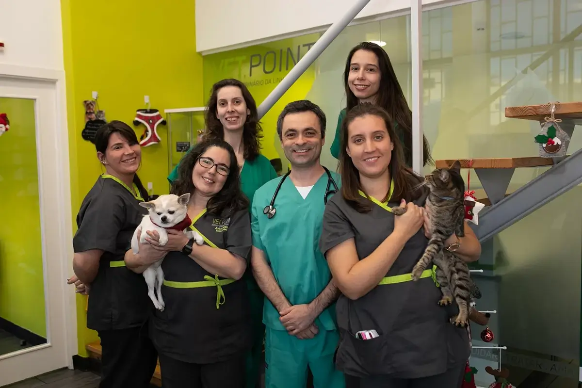 Equipa Vet.Point - Galeria de imagens da clínica Veterinária