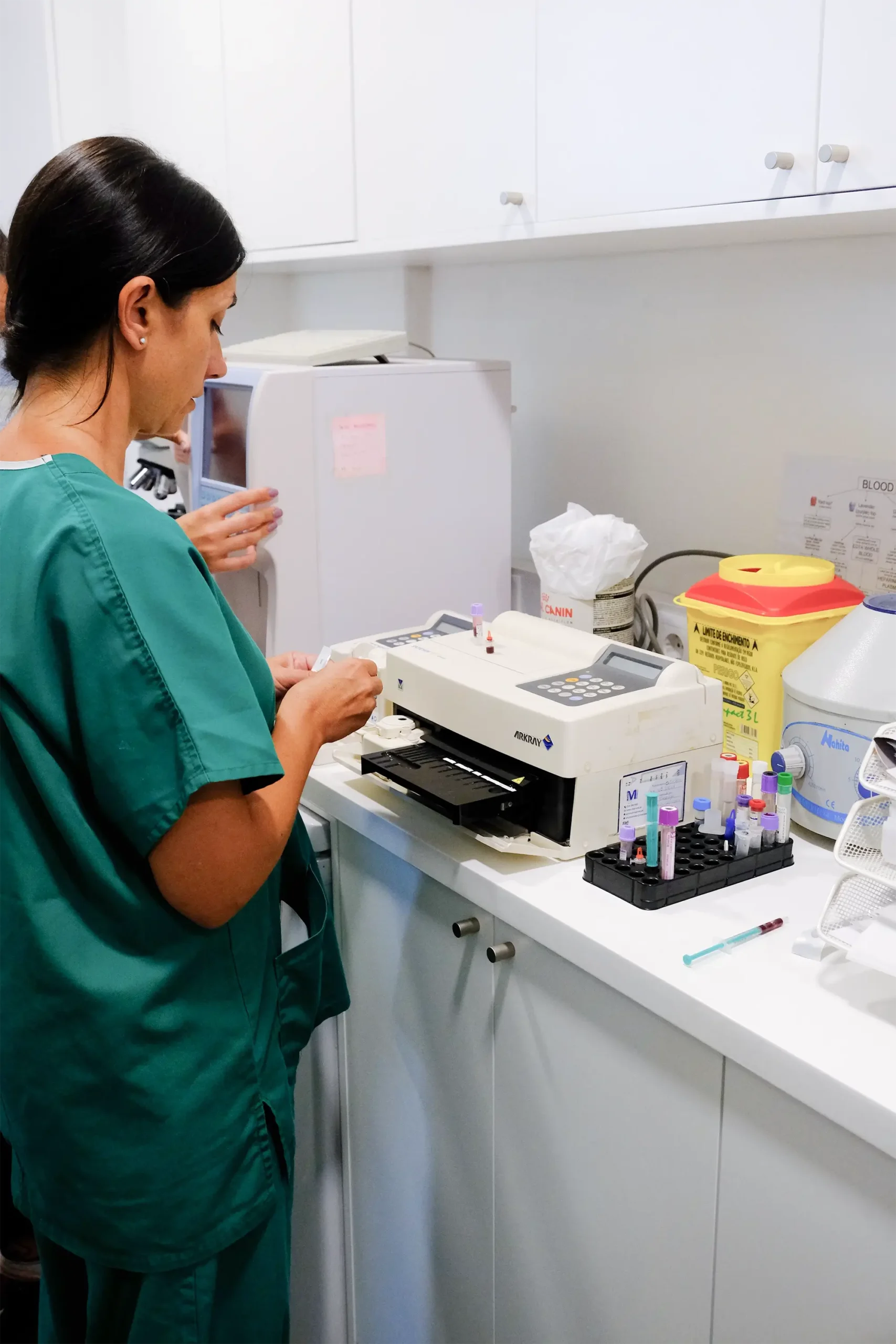 Medicina Preventiva Veterinária - Clinica Vet.Point, Oeiras